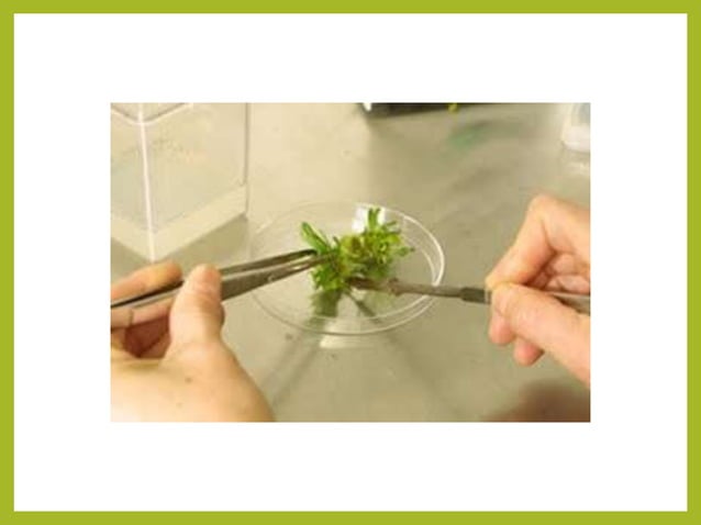 Tissue culture media preparation.ppt