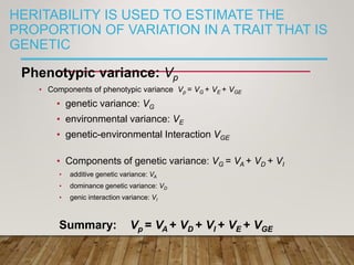 variability in population.ppt | Genetics | Science