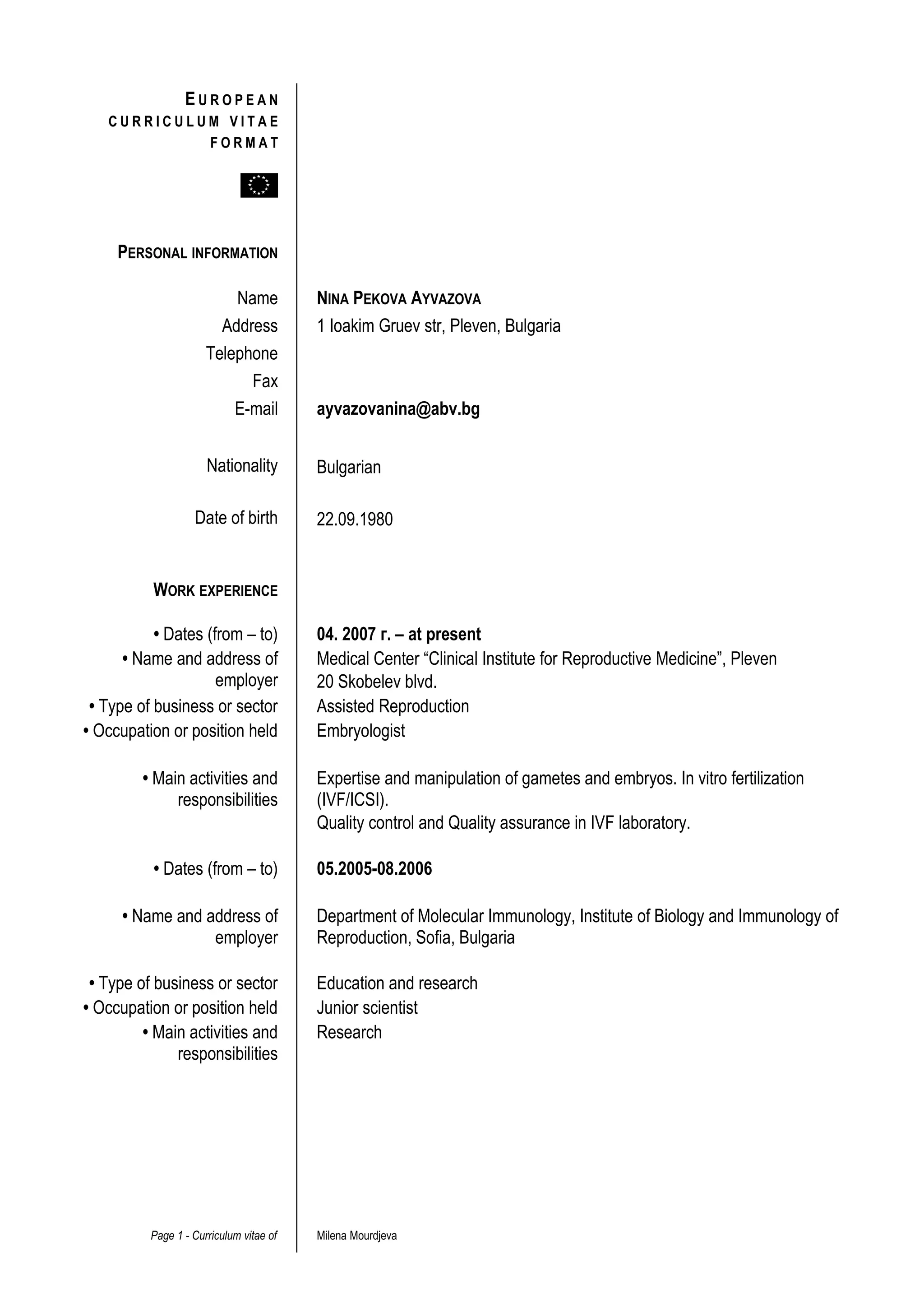 CV NINA english | PDF