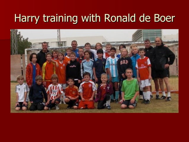 189_harry ball bloga.ppt