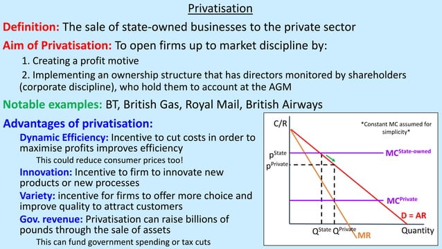 Privatisation | PPT