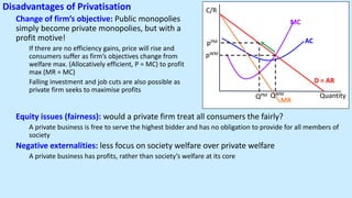 Privatisation | PPT