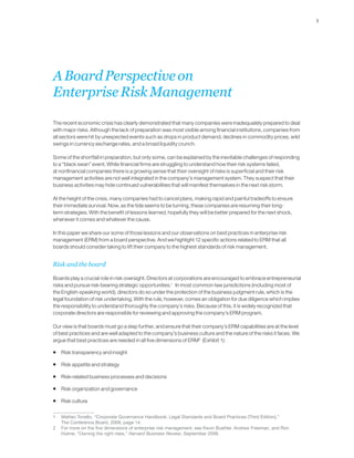 A Board Perspective on Enterprise Risk Management | PDF