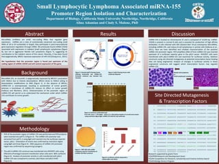 CSUN SYMPOSIUM Final | PPT