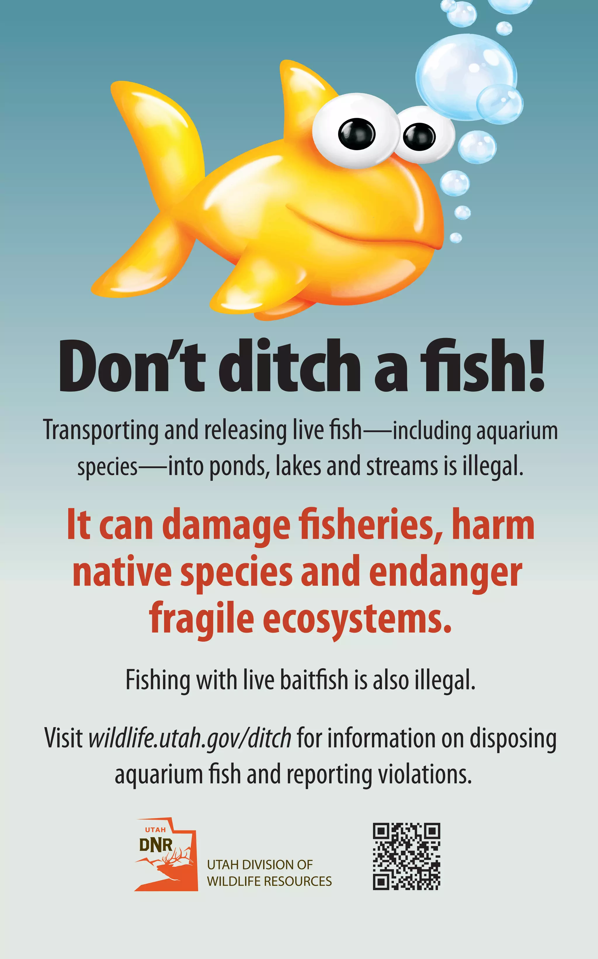 Don't ditch a fish | PDF