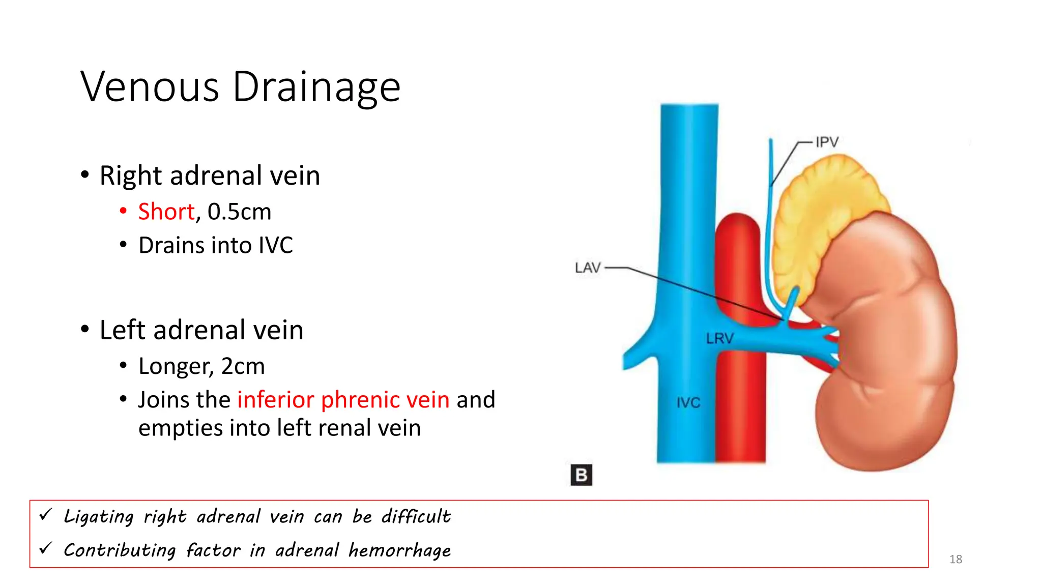 18 Anatomy & Phsyiology of Adrenal Gland.pptx