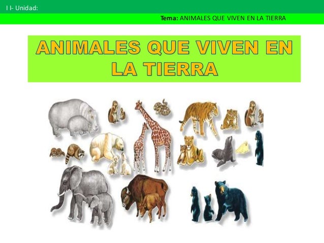 18 animales que viven en la tierra