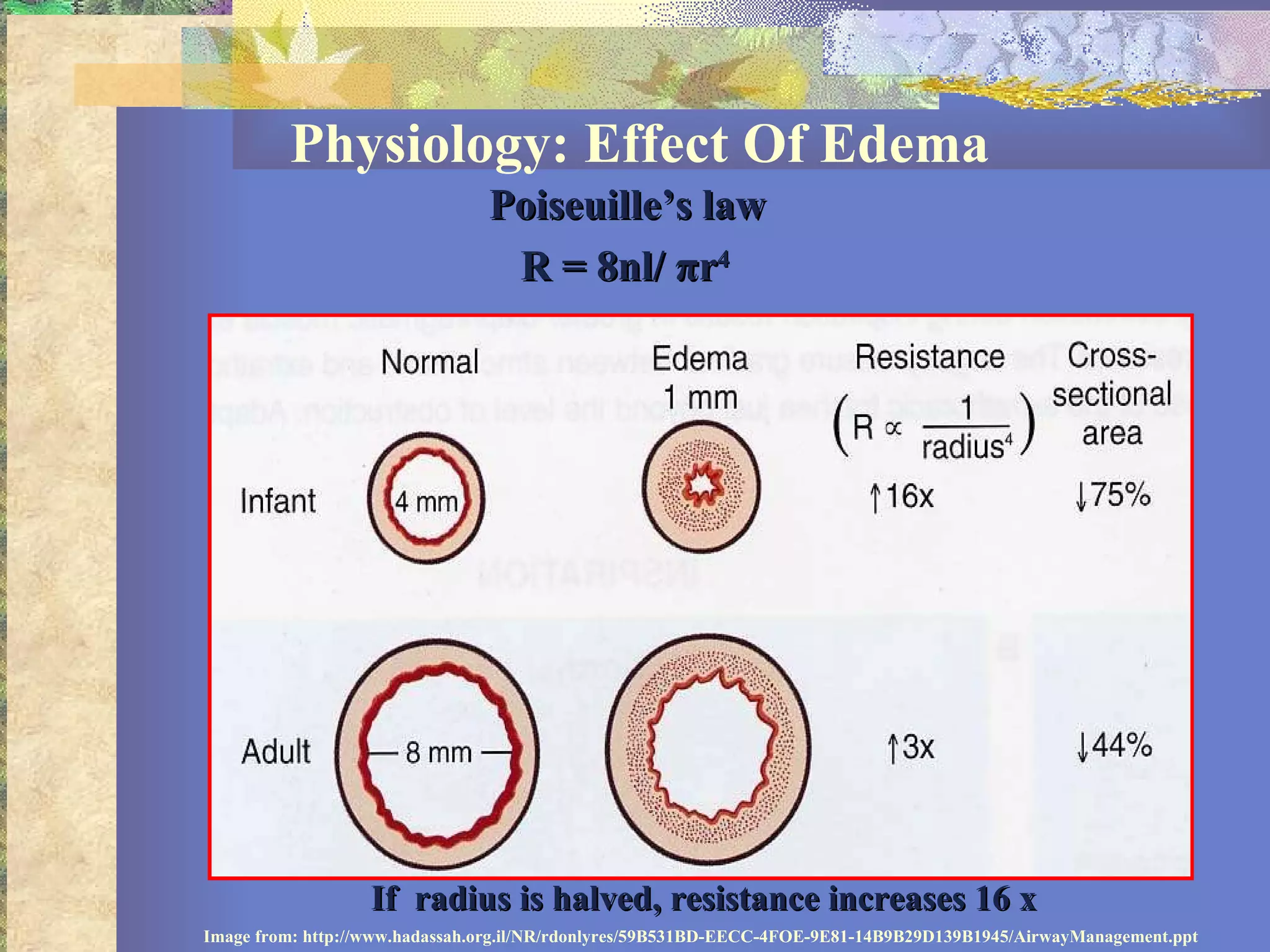 18 basics of pediatric airway anatomy, physiology and management | PPT