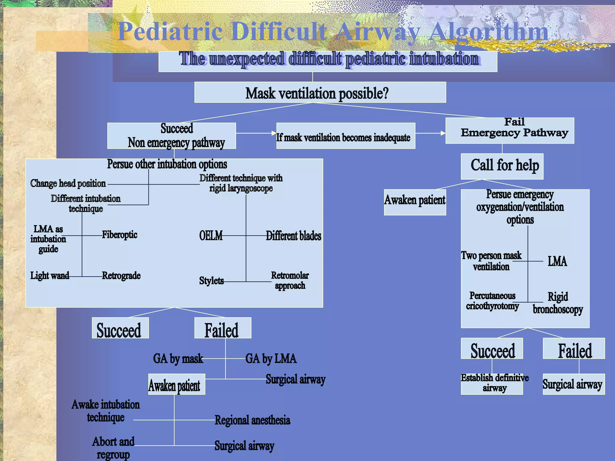 18 basics of pediatric airway anatomy, physiology and management | PPT