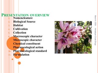 18 bauhinia variegata linn(koiralo) | PPT