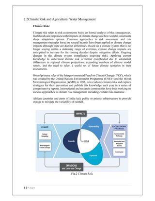 Climate Risk Management | PDF
