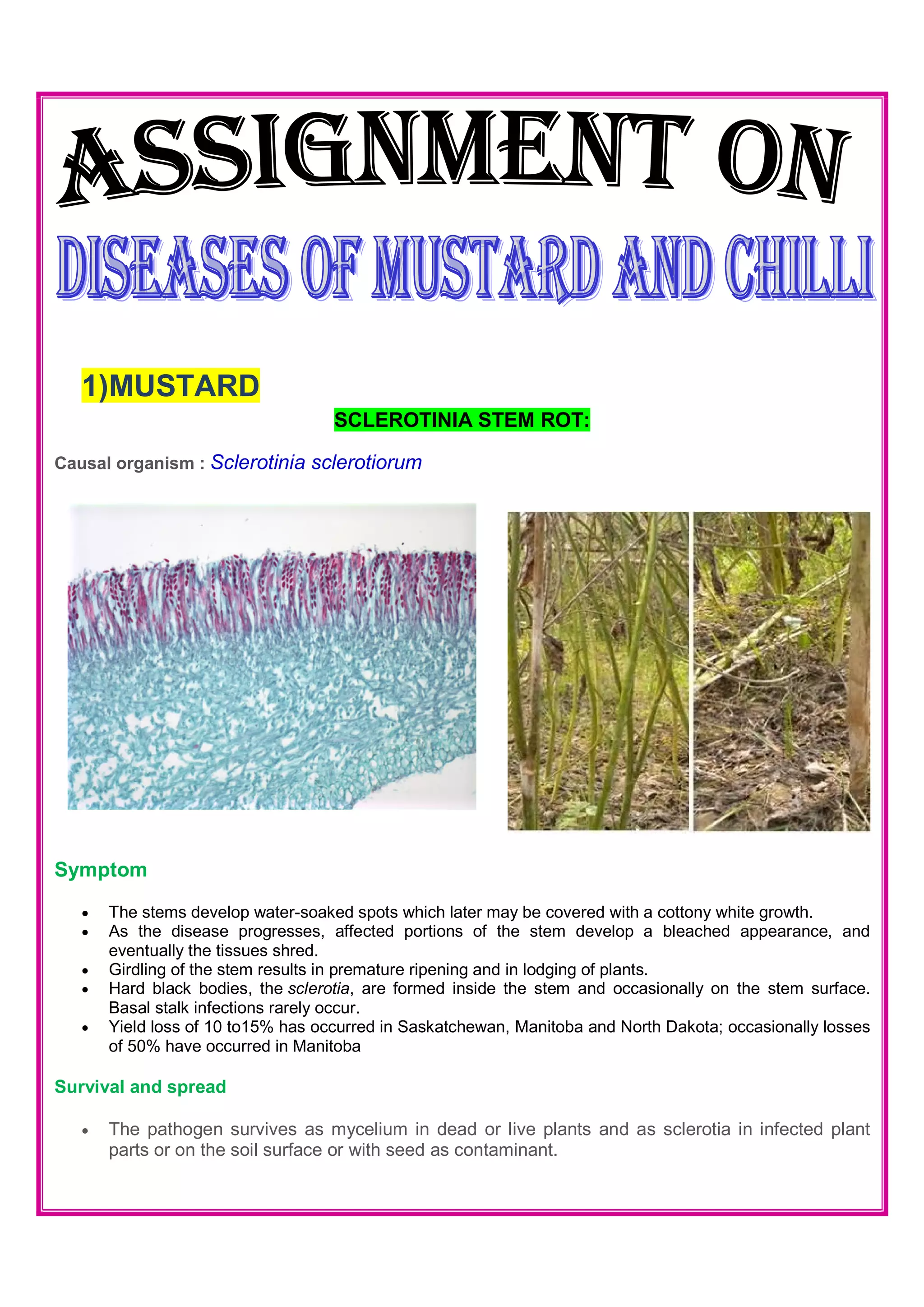 DISEASES OF MUSTARD AND CHILLI BY DWIGPAL SHAHI | PDF