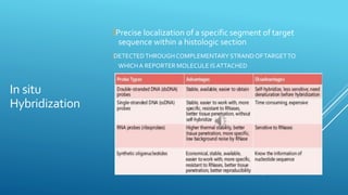 virulence assays - molecular diagnostic techniques | PDF