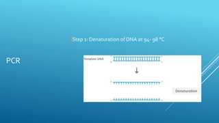 virulence assays - molecular diagnostic techniques | PDF