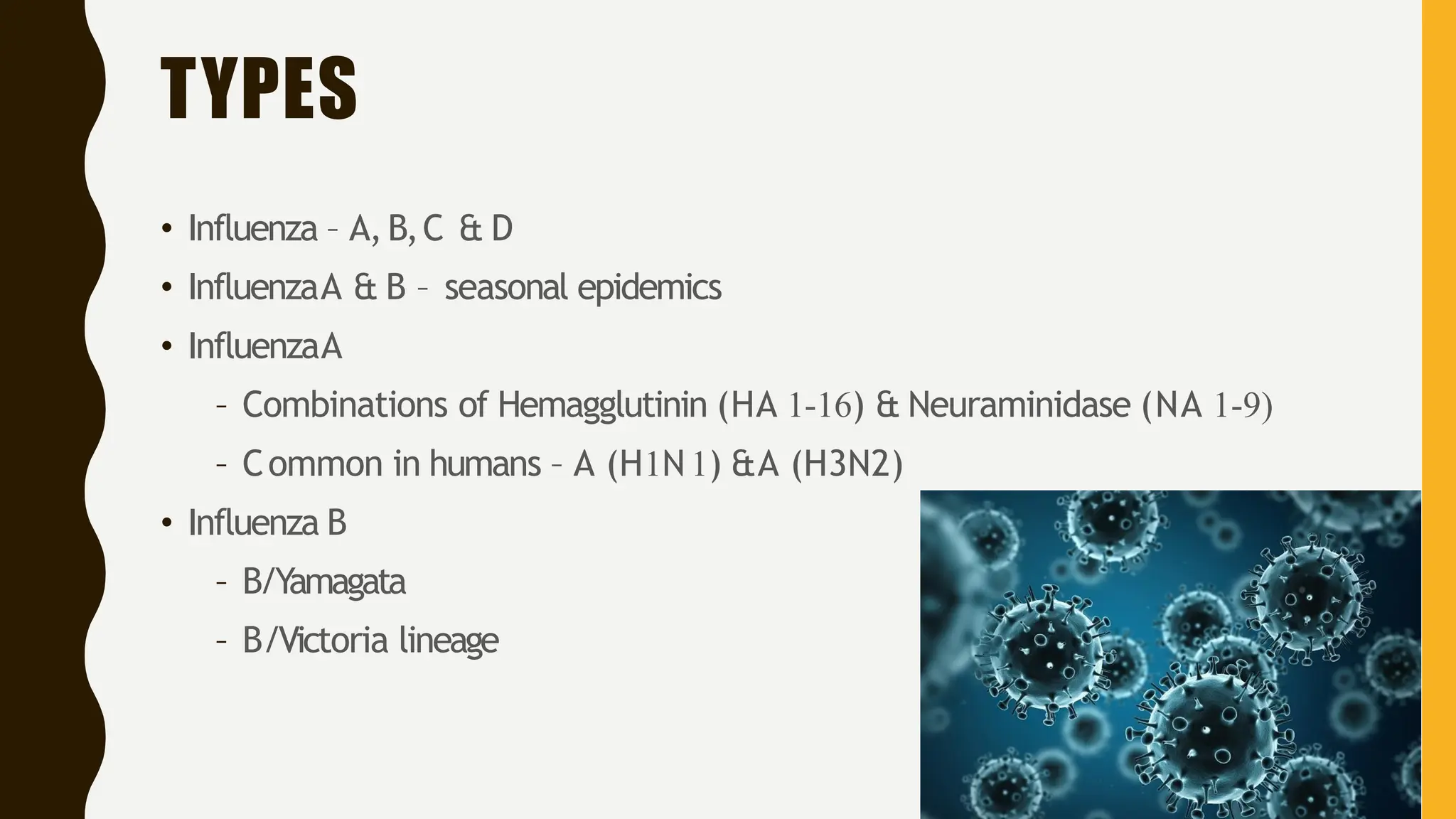 Influenza virus, types and its treatment | PDF