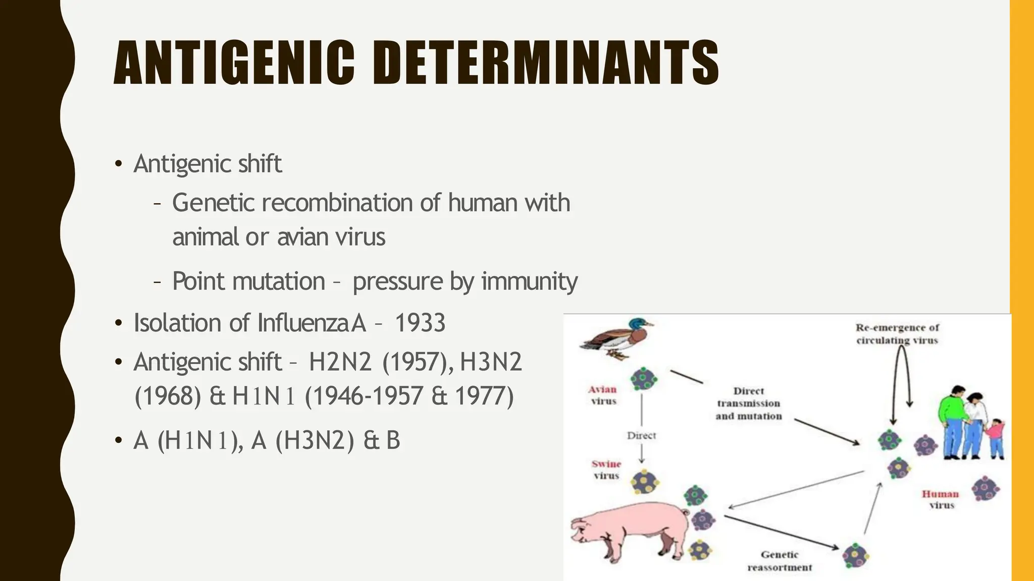 Influenza virus, types and its treatment | PDF