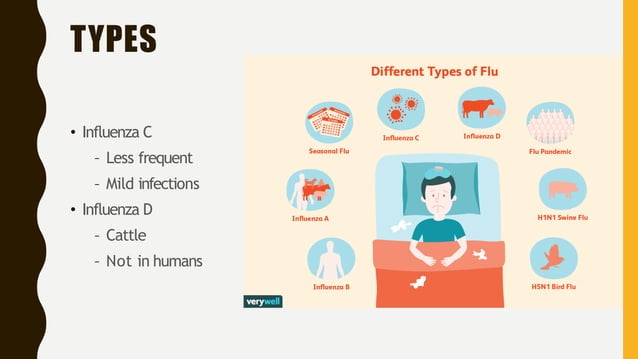 Influenza virus, types and its treatment | PDF