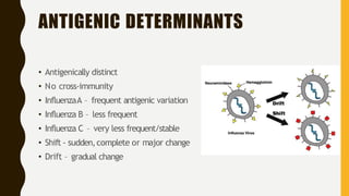 Influenza virus, types and its treatment | PDF