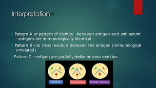 ouchterlony double diffusion method and immunoblotting | PDF
