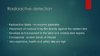 ouchterlony double diffusion method and immunoblotting | PDF