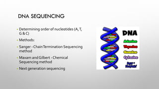 DNA sequencing and hybridization methods | PDF