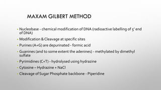 DNA sequencing and hybridization methods | PDF