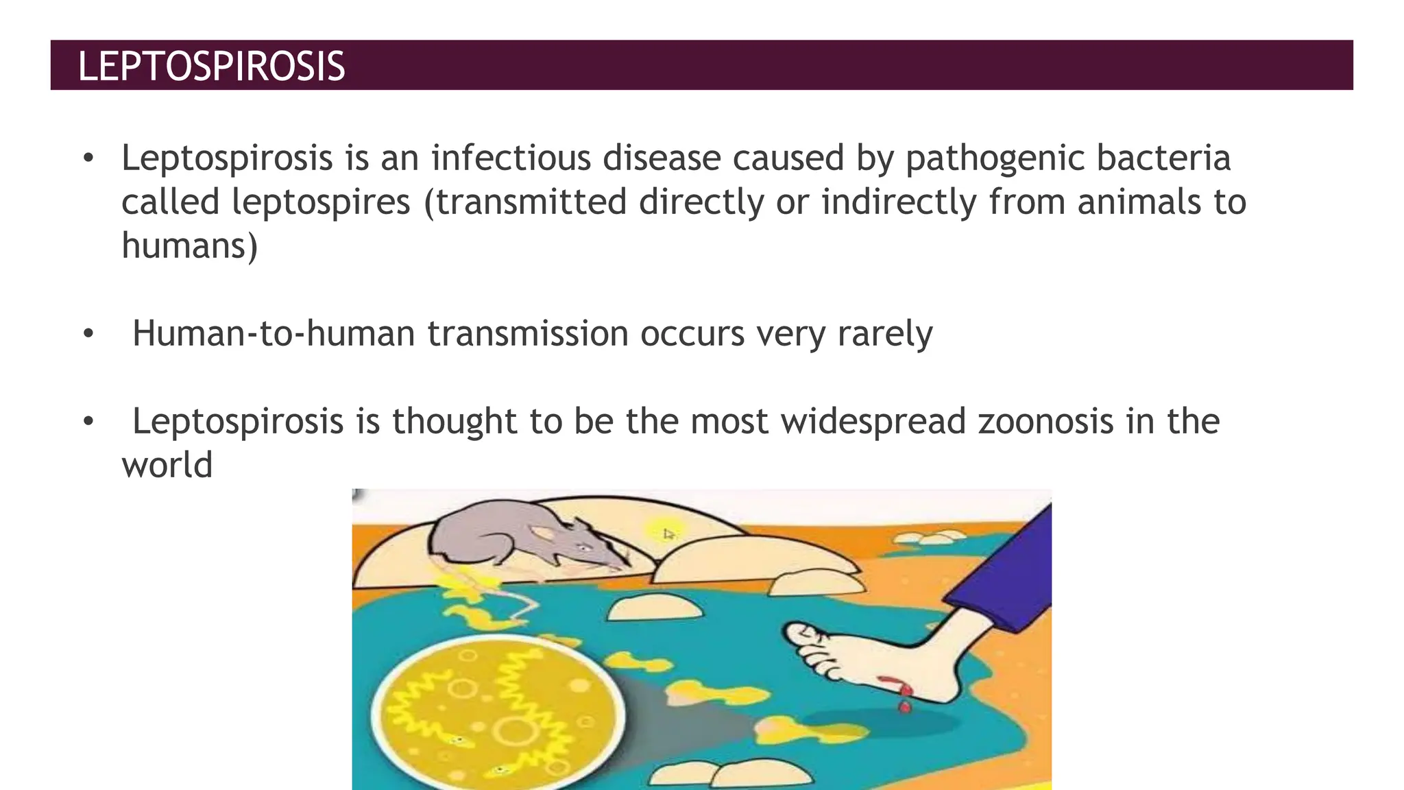 leptospirosis, salmonellosis, swine flu and avian flu | PDF