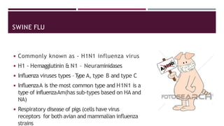 leptospirosis, salmonellosis, swine flu and avian flu | PDF