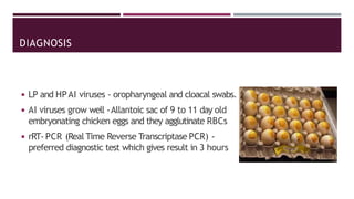 leptospirosis, salmonellosis, swine flu and avian flu | PDF
