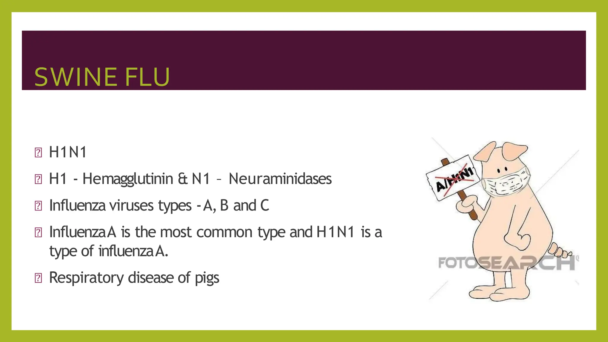 leptospirosis, salmonellosis, swine flu and avian flu | PDF