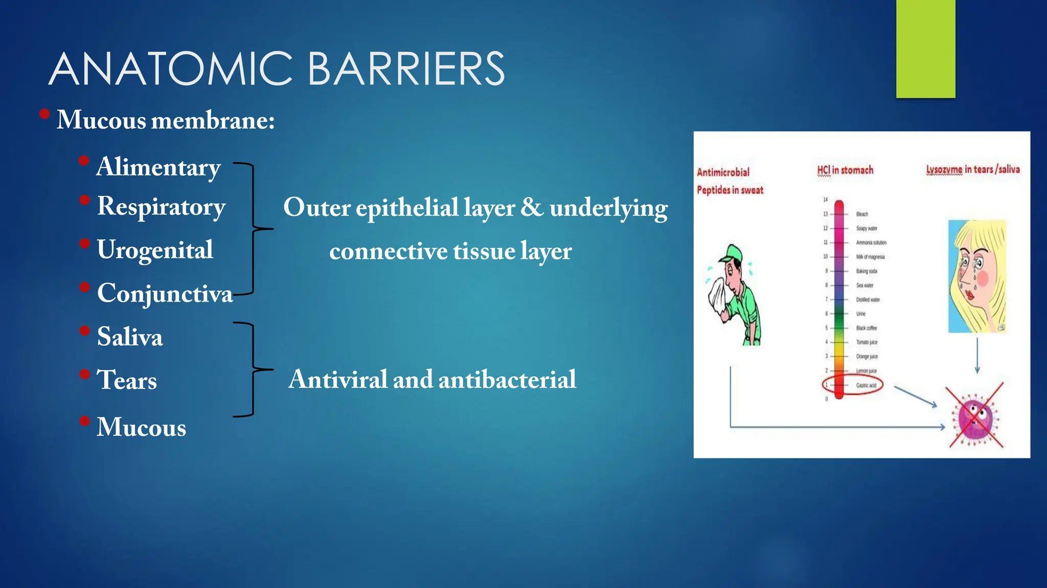components of host surface defense system | PDF
