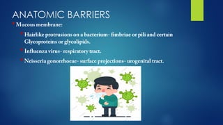 components of host surface defense system | PPT