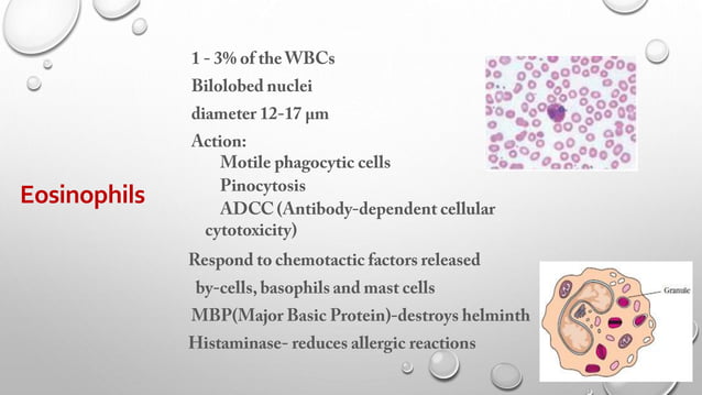 components of systemic defense - tissue and blood | PPT