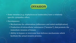 colonizing and invasion virulence factors | PDF