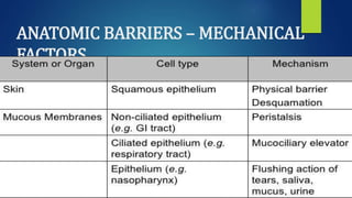 components of host surface defense system | PPT