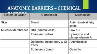 components of host surface defense system | PPT