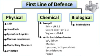 components of host surface defense system | PPTX