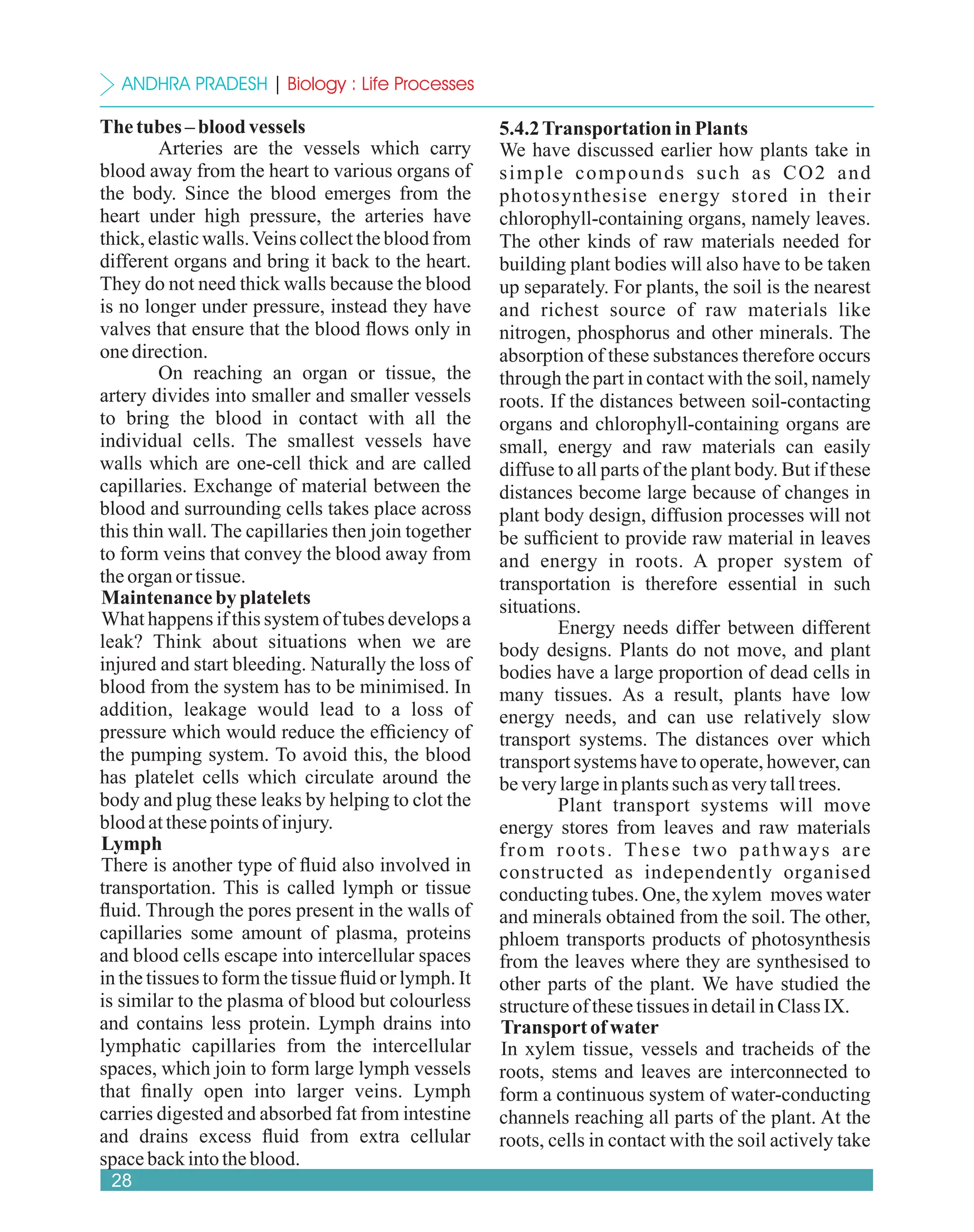 Class 10 Biological Science Textbook NCERT | PDF