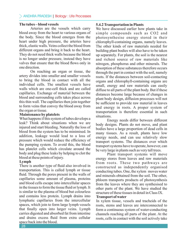 Class 10 Biological Science Textbook NCERT | PDF