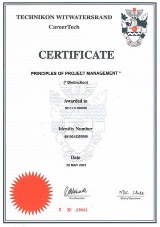 Wits Project Management | PDF