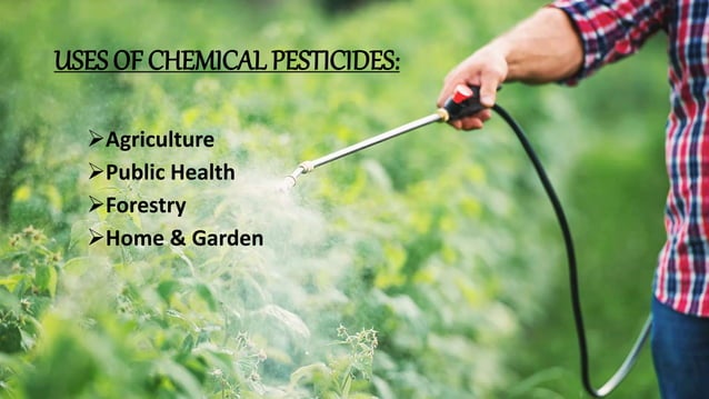 Agrochemical Industries presentation.pptx