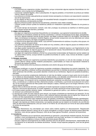 clasificacion microorganismos | PDF