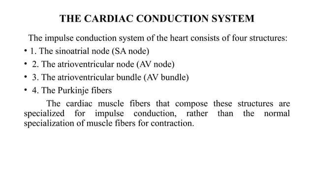 SHORT NOTE ON CONDUCTING SYSTEM OF THE HEART. | PPT