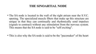 SHORT NOTE ON CONDUCTING SYSTEM OF THE HEART. | PPT