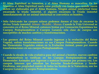 18 diagrama interno del hombre... | PPTX
