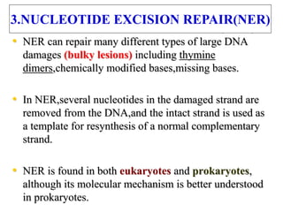DNA repair by kk sahu | PPT | Chemistry | Science