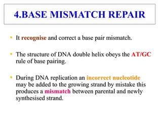 DNA repair by kk sahu | PPT | Chemistry | Science