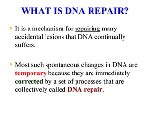 DNA repair by kk sahu | PPT