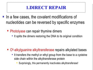 DNA repair by kk sahu | PPT