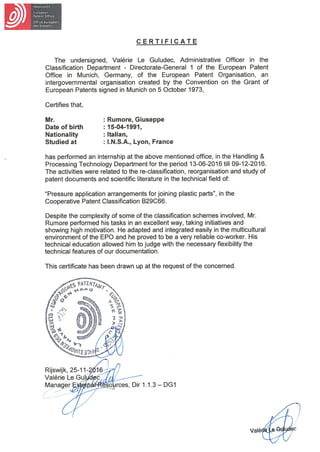 Reference letter EPO | PDF